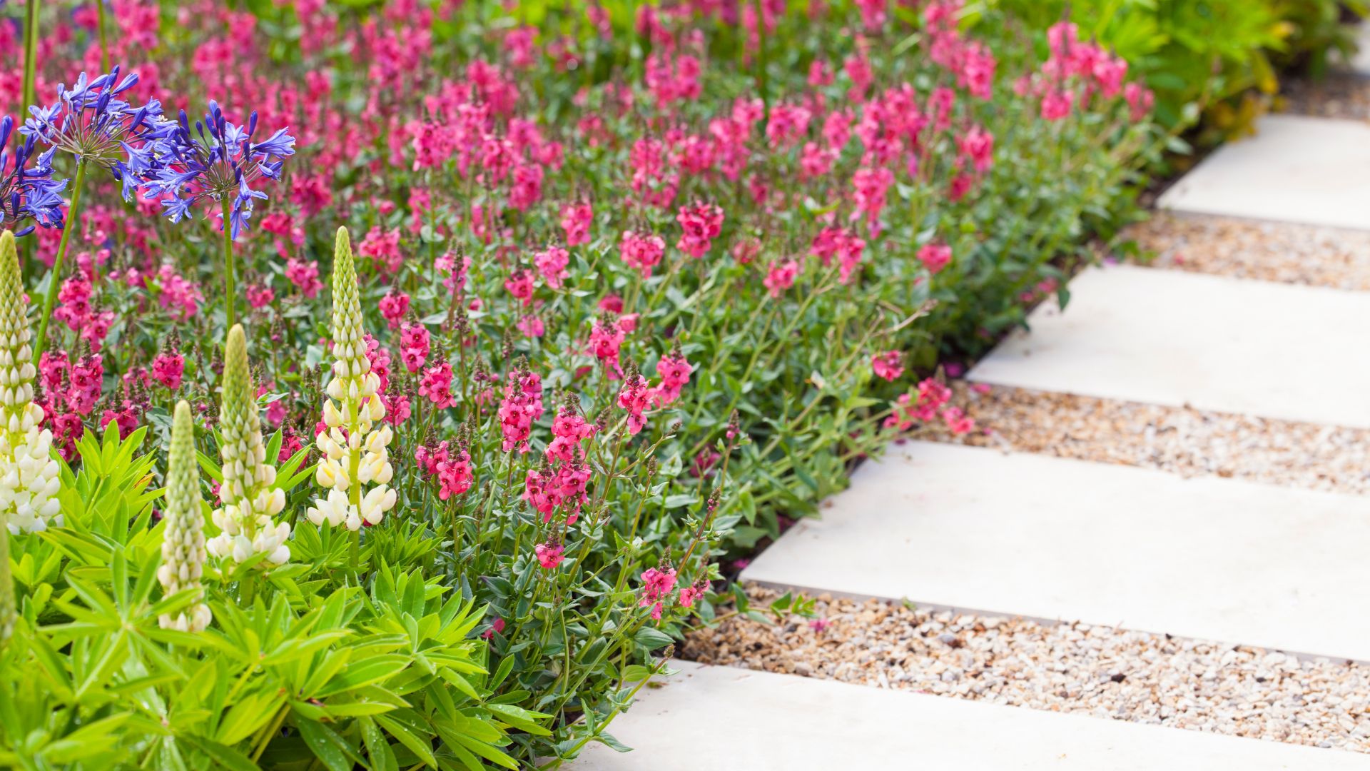Creating the Perfect Outdoor Landscape: Balancing Beauty, Harmony, and ...